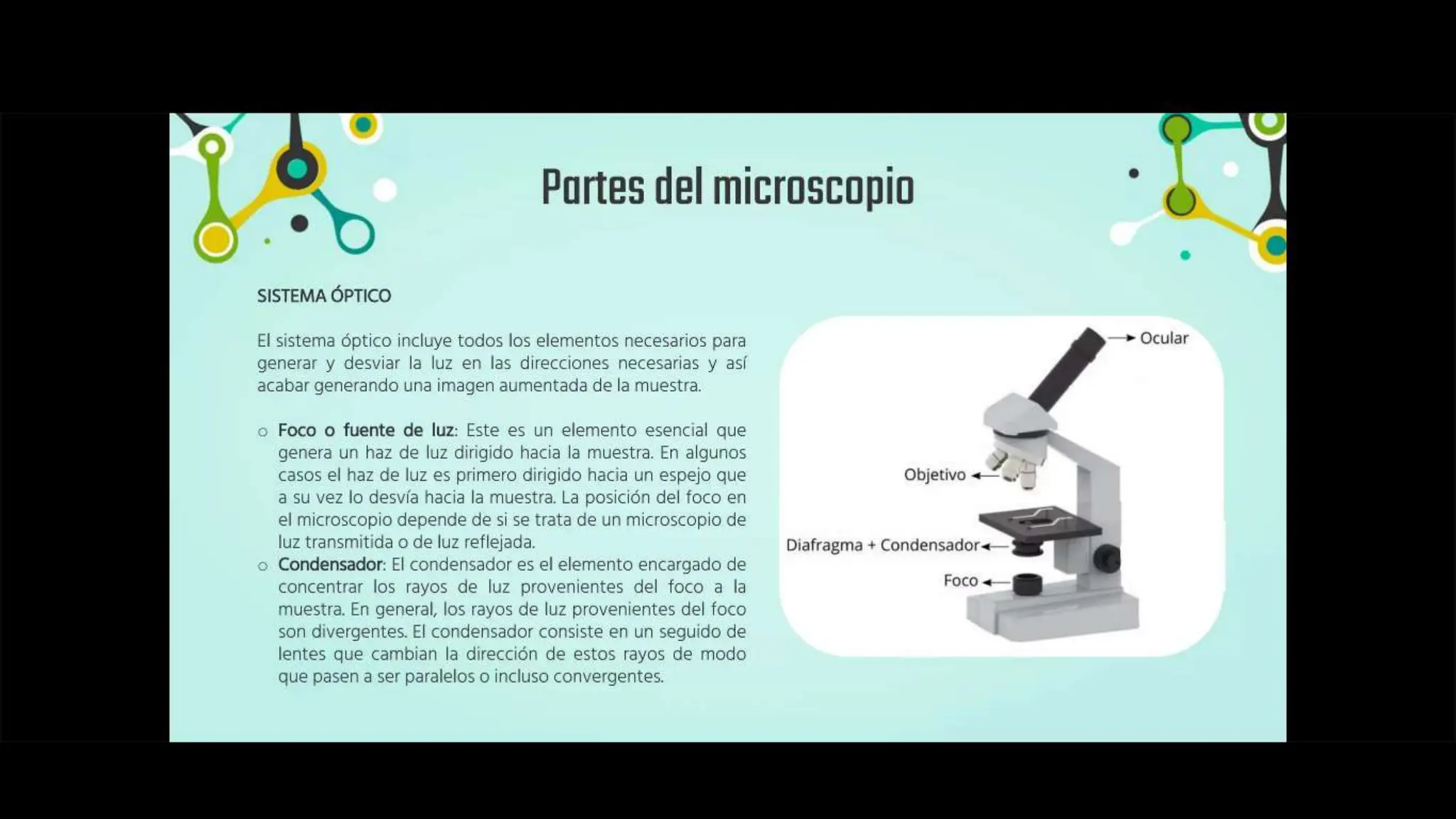 microscopio.pptx
