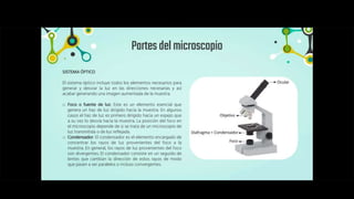 microscopio.pptx