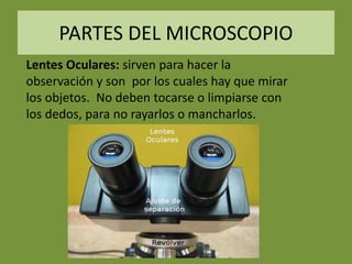 MICROSCOPio y como usarlo paso a paso :) | PPTX