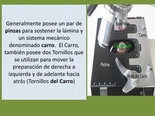 MICROSCOPio y como usarlo paso a paso :) | PPTX