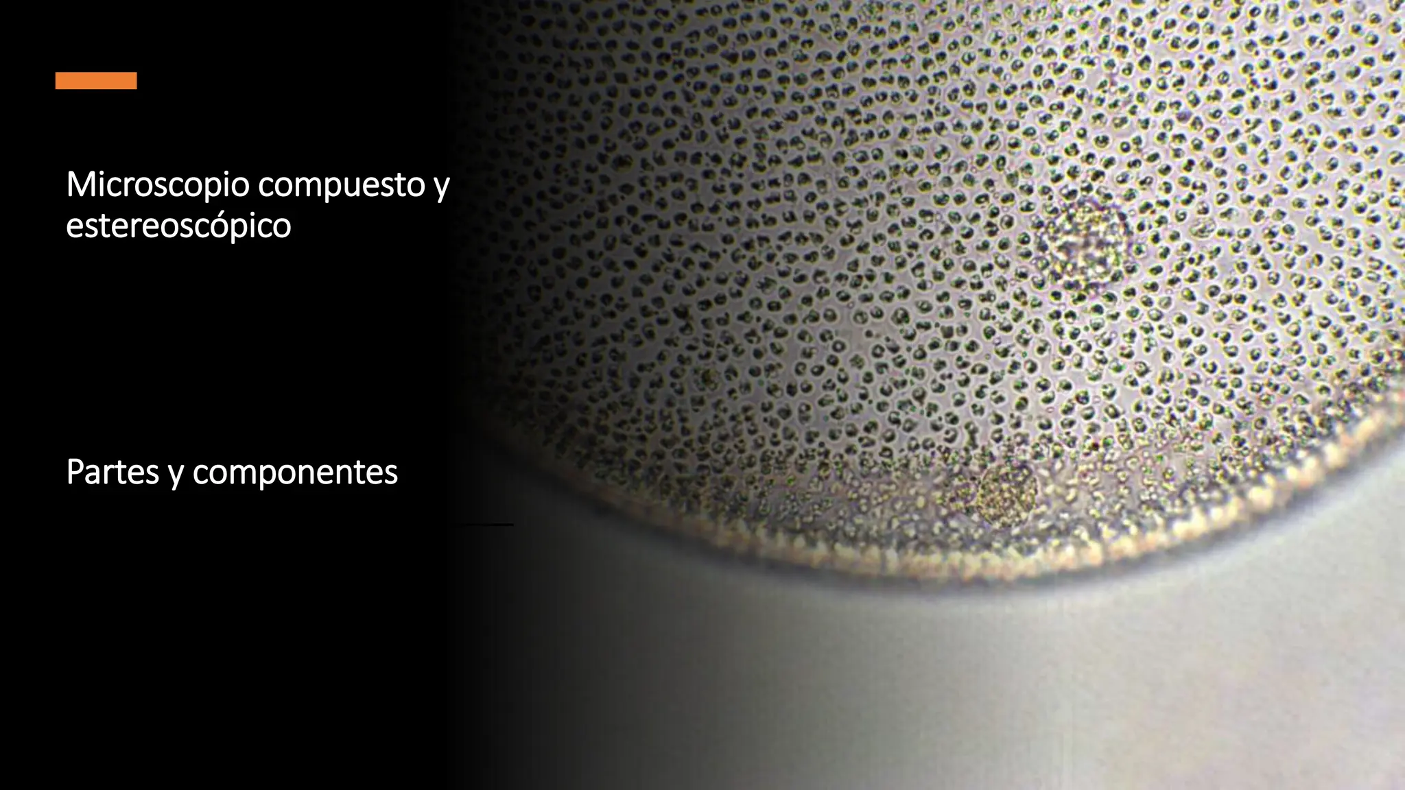 Microscopio compuesto y estereoscópico.pptx