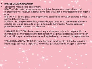 Microscopio | PPTX