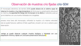 Microscopio electrónico de barrido-MEB | PPTX