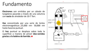 Microscopio electrónico de barrido-MEB | PPTX