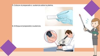 MICROSCOPIO (NORMAS Y USO).pdf
