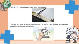 MICROSCOPIO (NORMAS Y USO).pdf