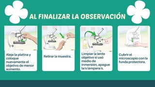 MICROSCOPIO (NORMAS Y USO).pdf