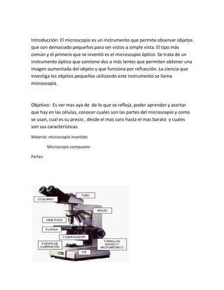 Microscopio practica | DOCX