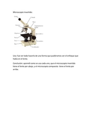 Microscopio practica | DOCX