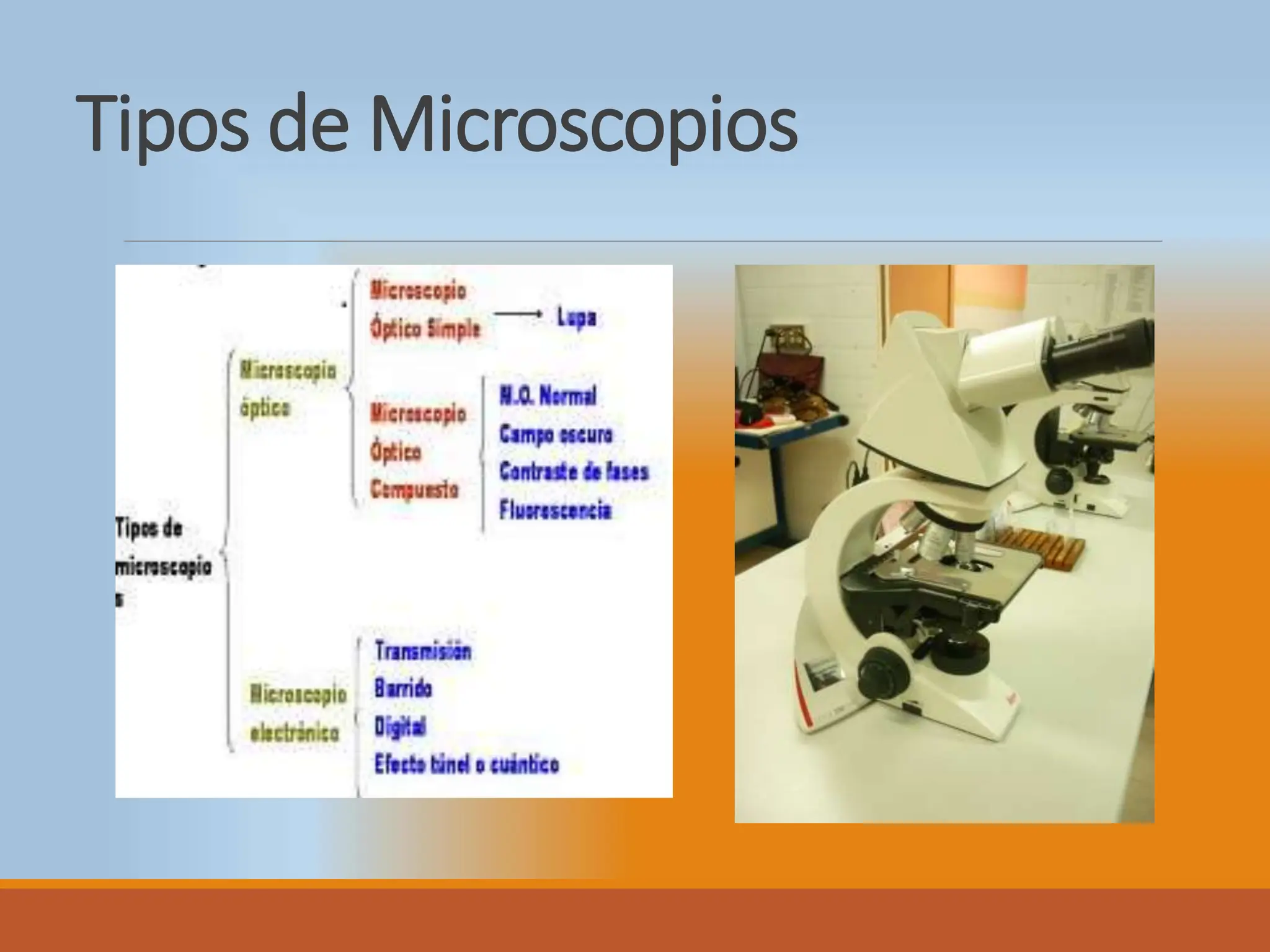 GENERALIDADES SOBRE EL MICROSCOPIO Y SU USO EN LA MICROSCOPIA CLINICA | PPT
