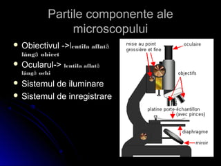 Microscopul | PPT