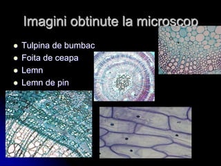 Microscopul.ppt