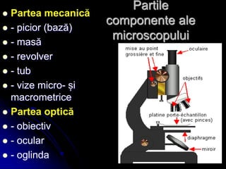 Microscopul.ppt