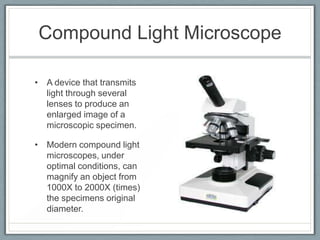 Modern Compound Light Microscope