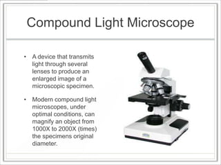 Microscopy | PPTX