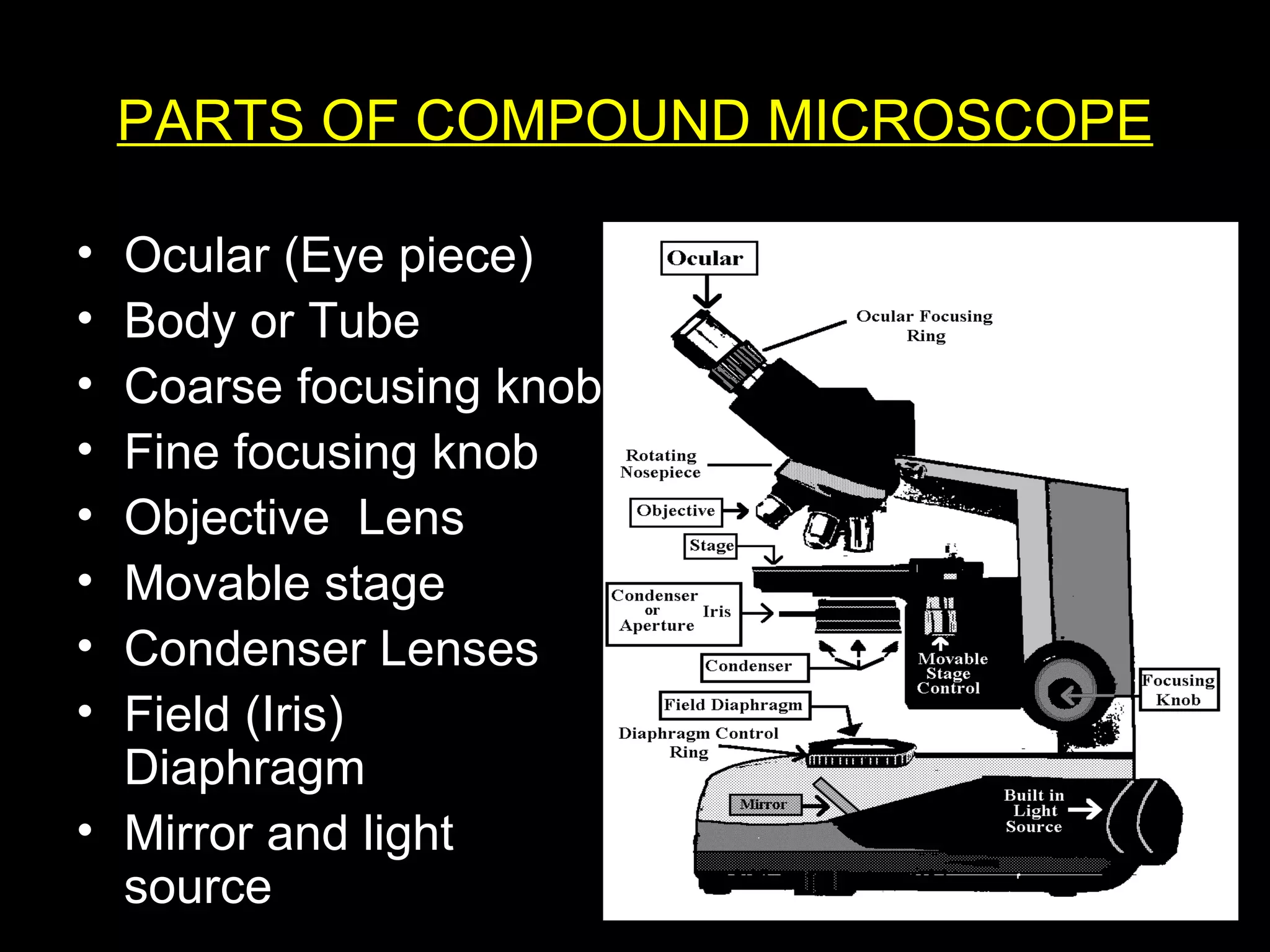 Microscopy | PPT