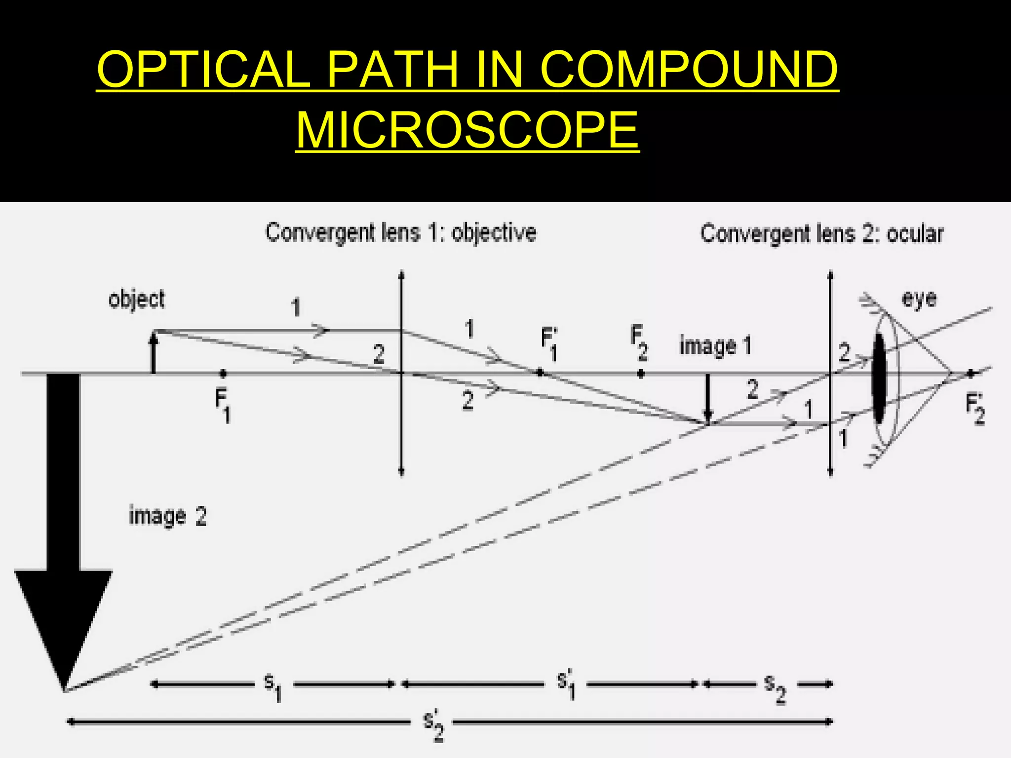 Microscopy | PPT