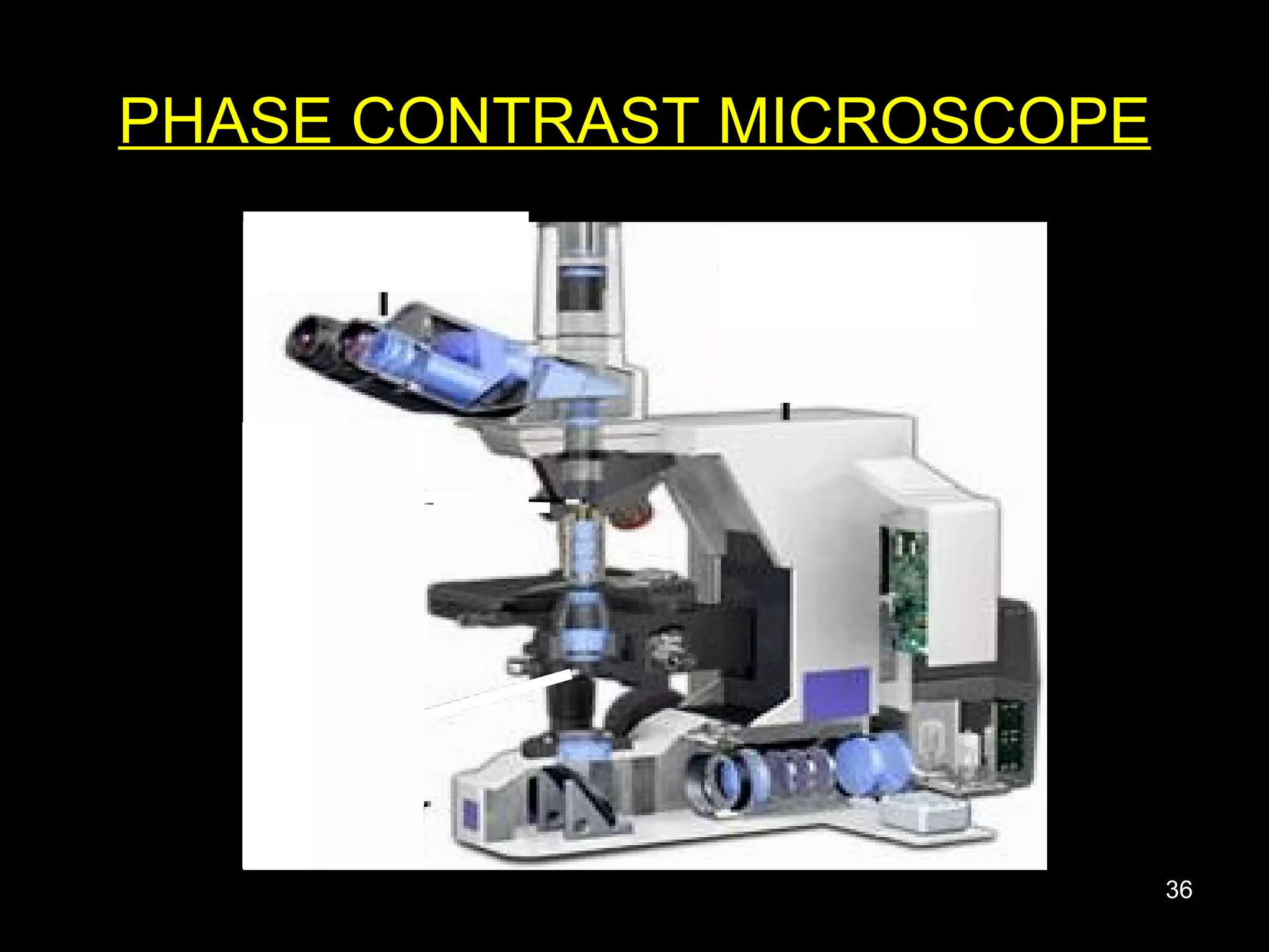 Microscopy | PPT