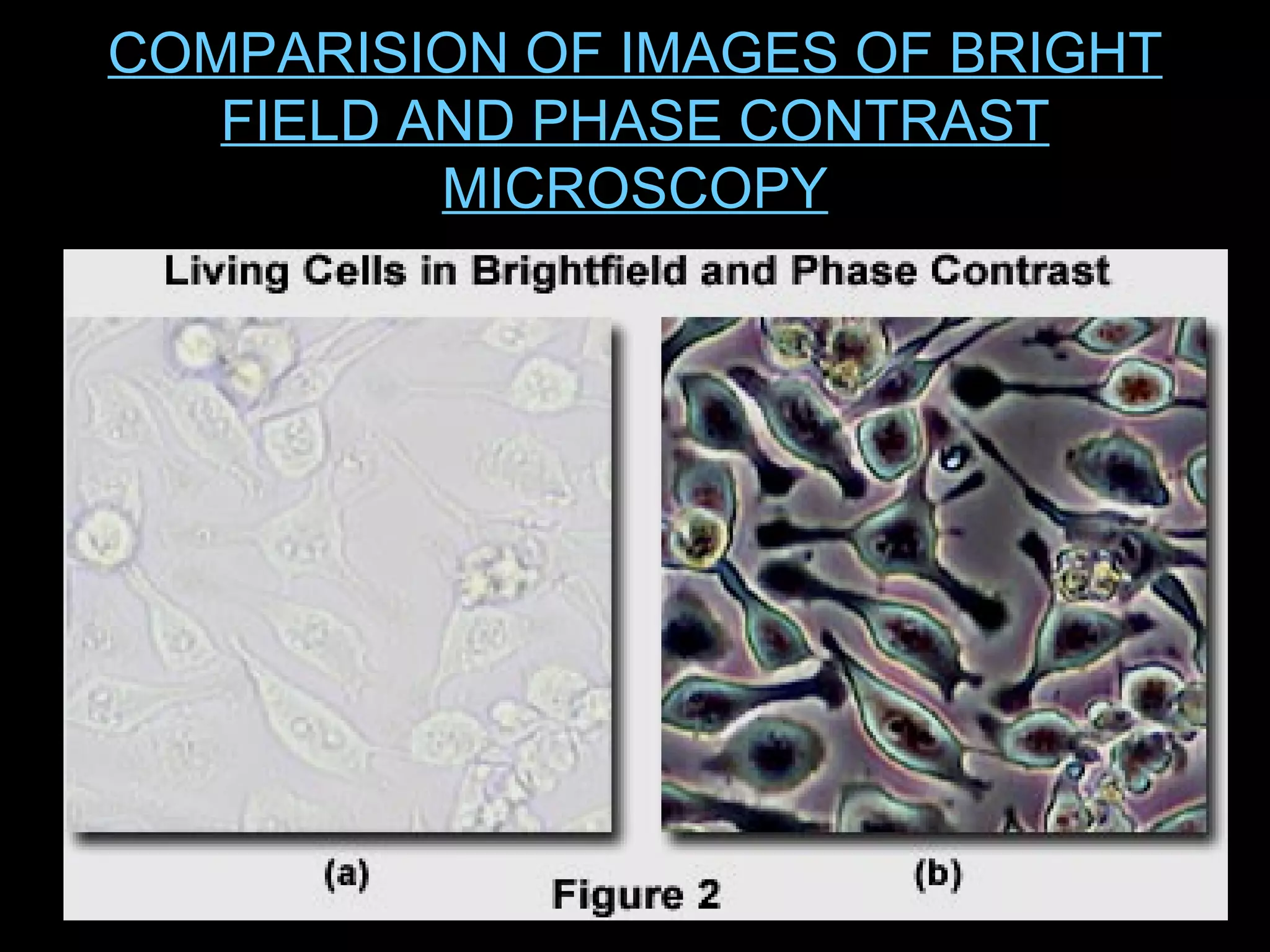 Microscopy | PPT