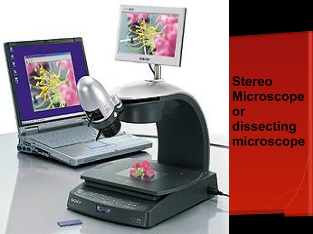 Microscope: Then and Now | PPT | Free Download
