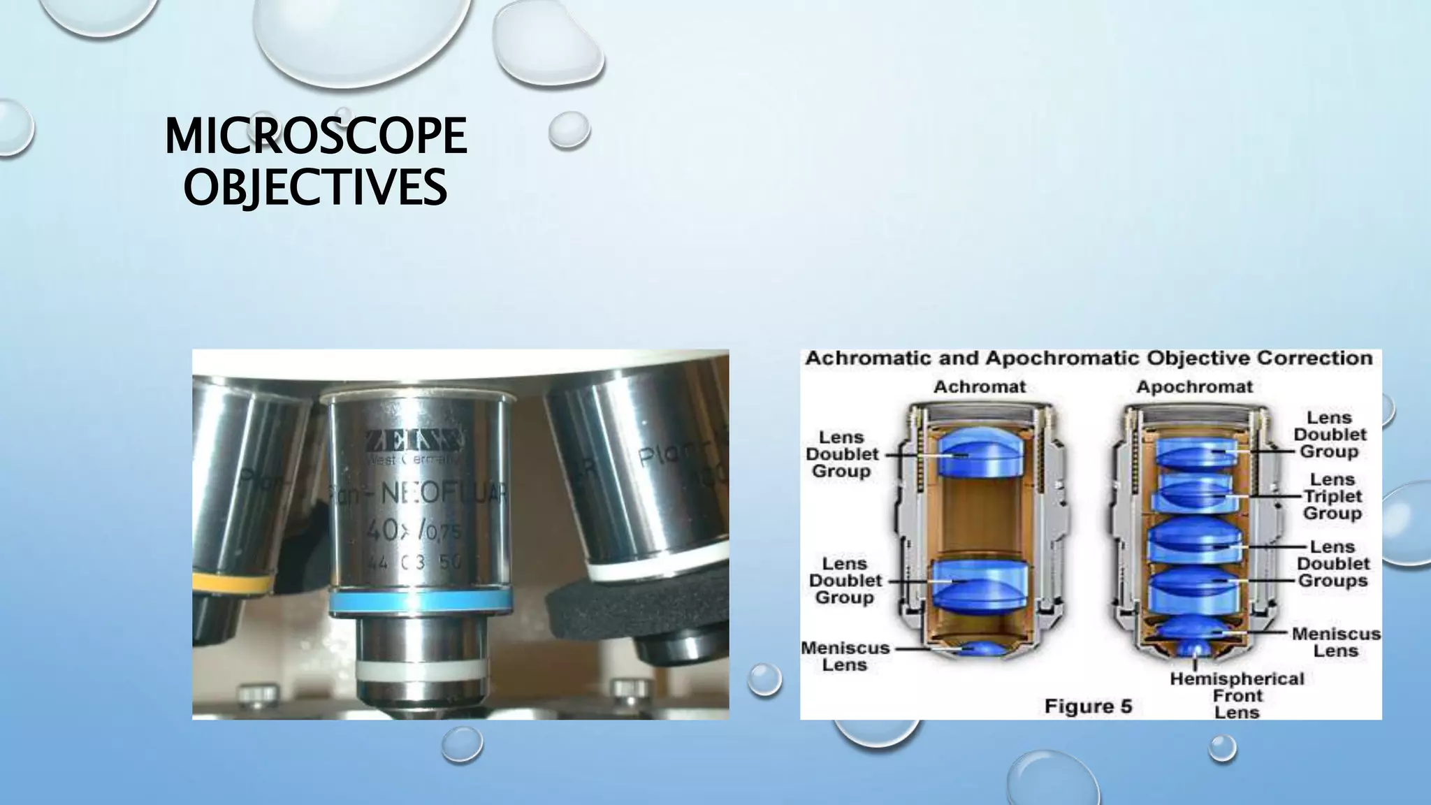 Microscopy | PPTX | Photography | Arts and Crafts