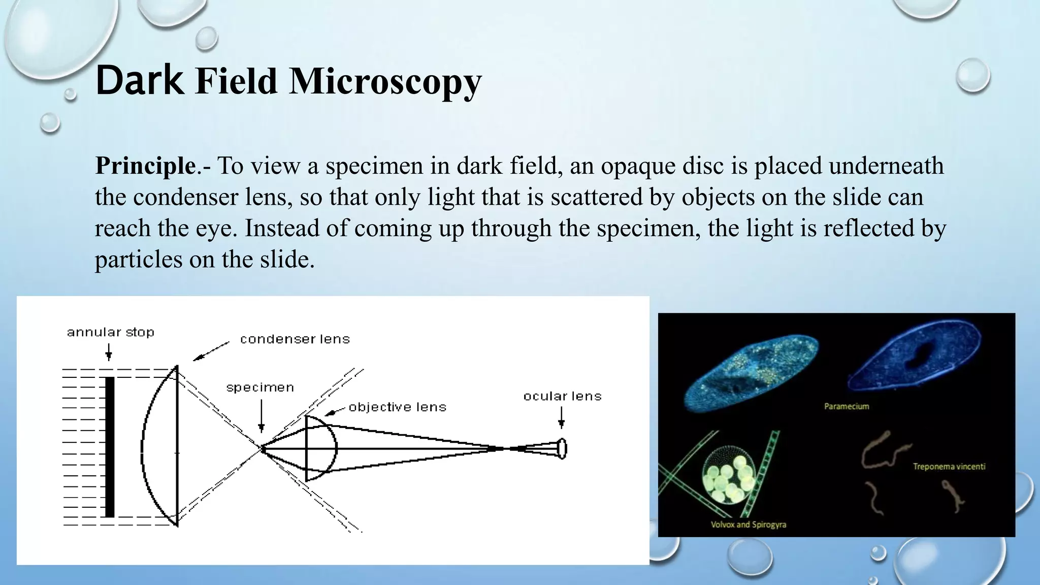 Microscopy | PPTX