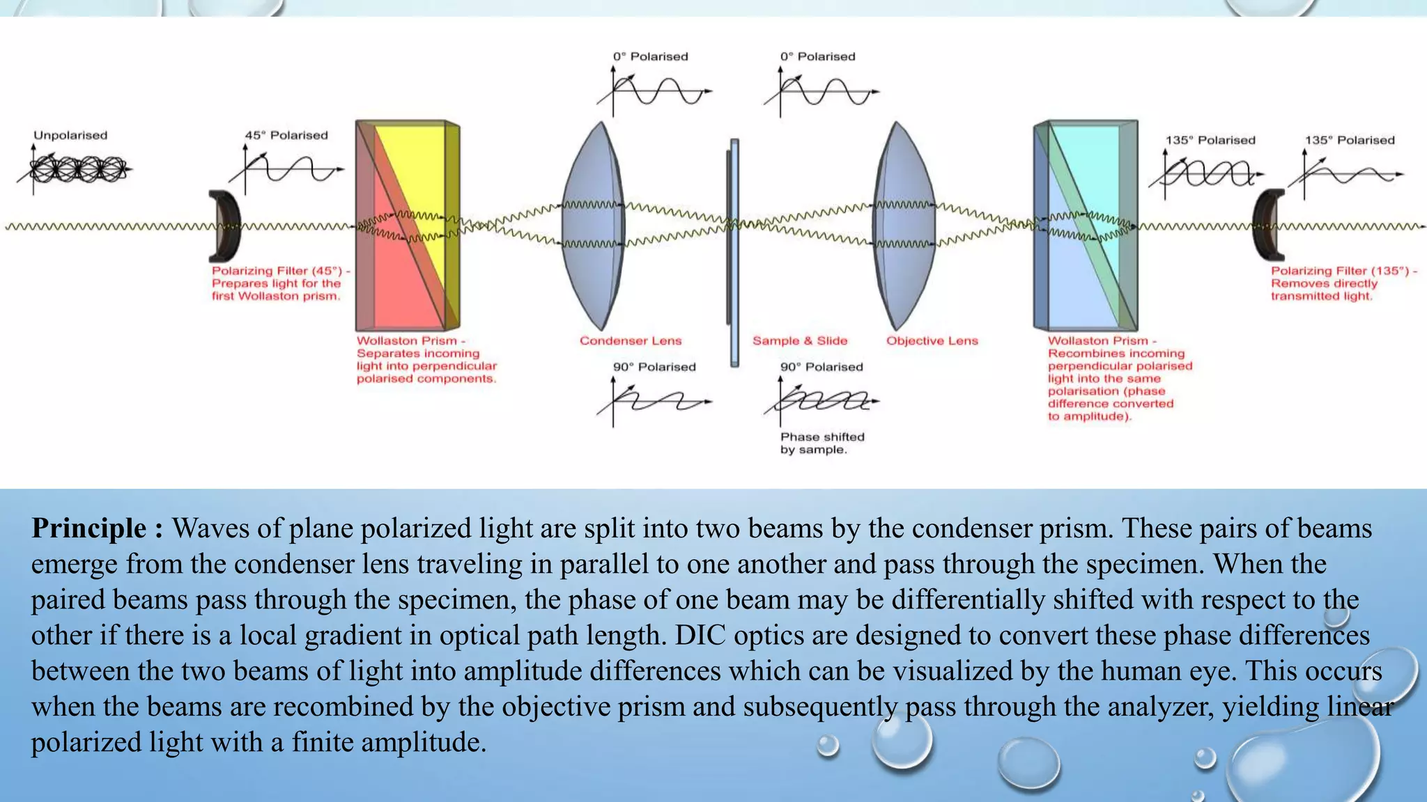 Microscopy | PPTX
