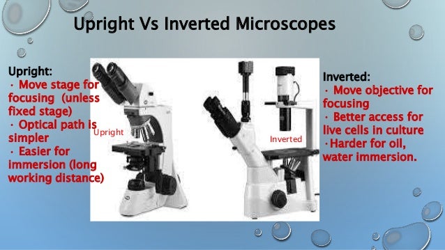 Microscopy