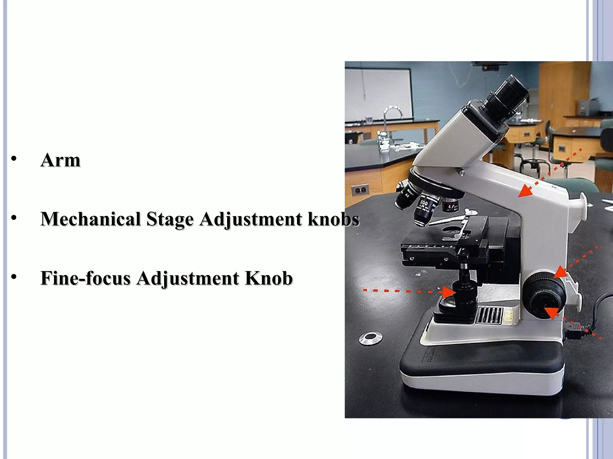 Microscopy | PPT
