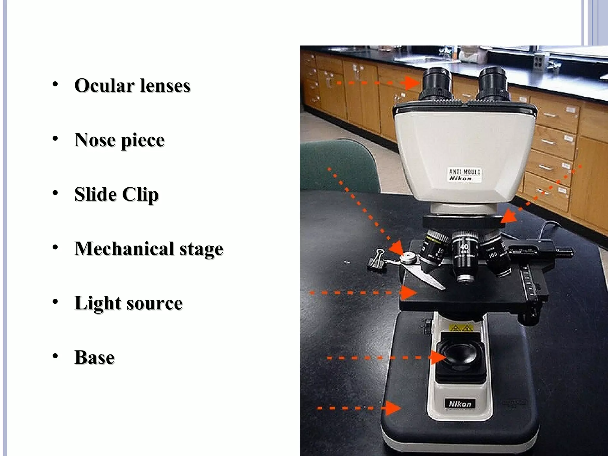 Microscopy | PPT