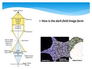 Microscopy | PPTX