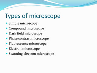 Microscopy | PPTX | Photography | Arts and Crafts