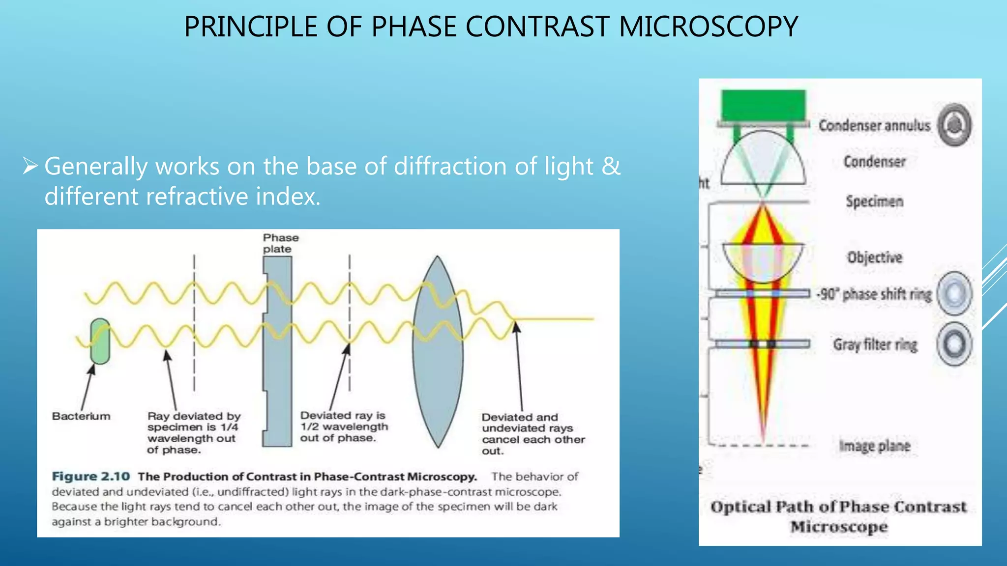 Microscopy.slide.sanchaita.12