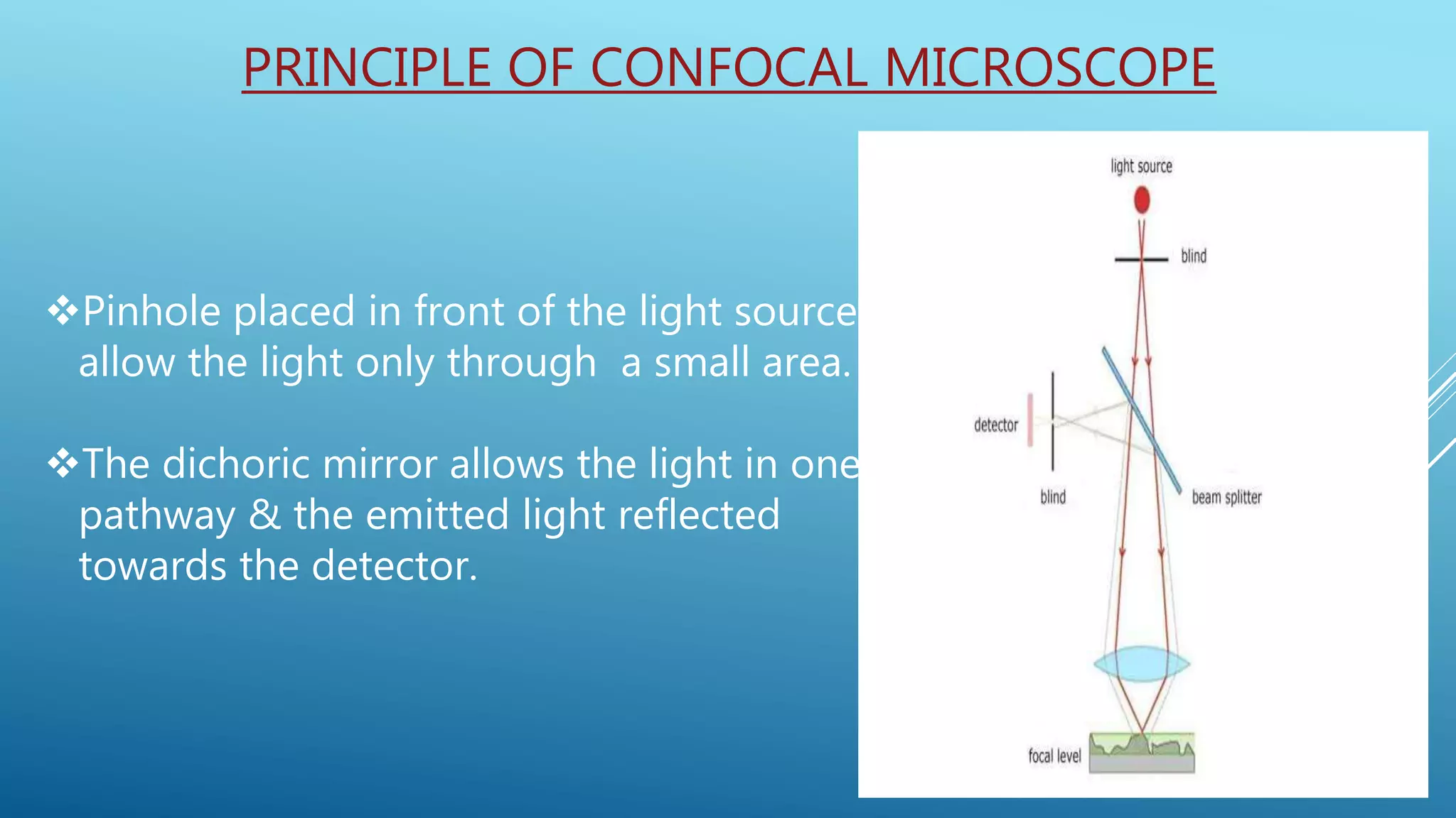 Microscopy.slide.sanchaita.12