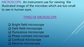 Microscopy.slide.sanchaita.12