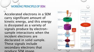 Microscopy and Microscopic techniques | PPT