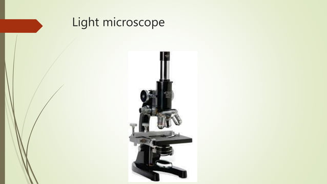 Microscopy | PPTX
