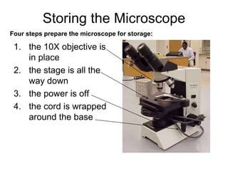 Microscopy | PPT | Photography | Arts and Crafts