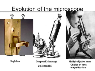 Microscopy | PPT
