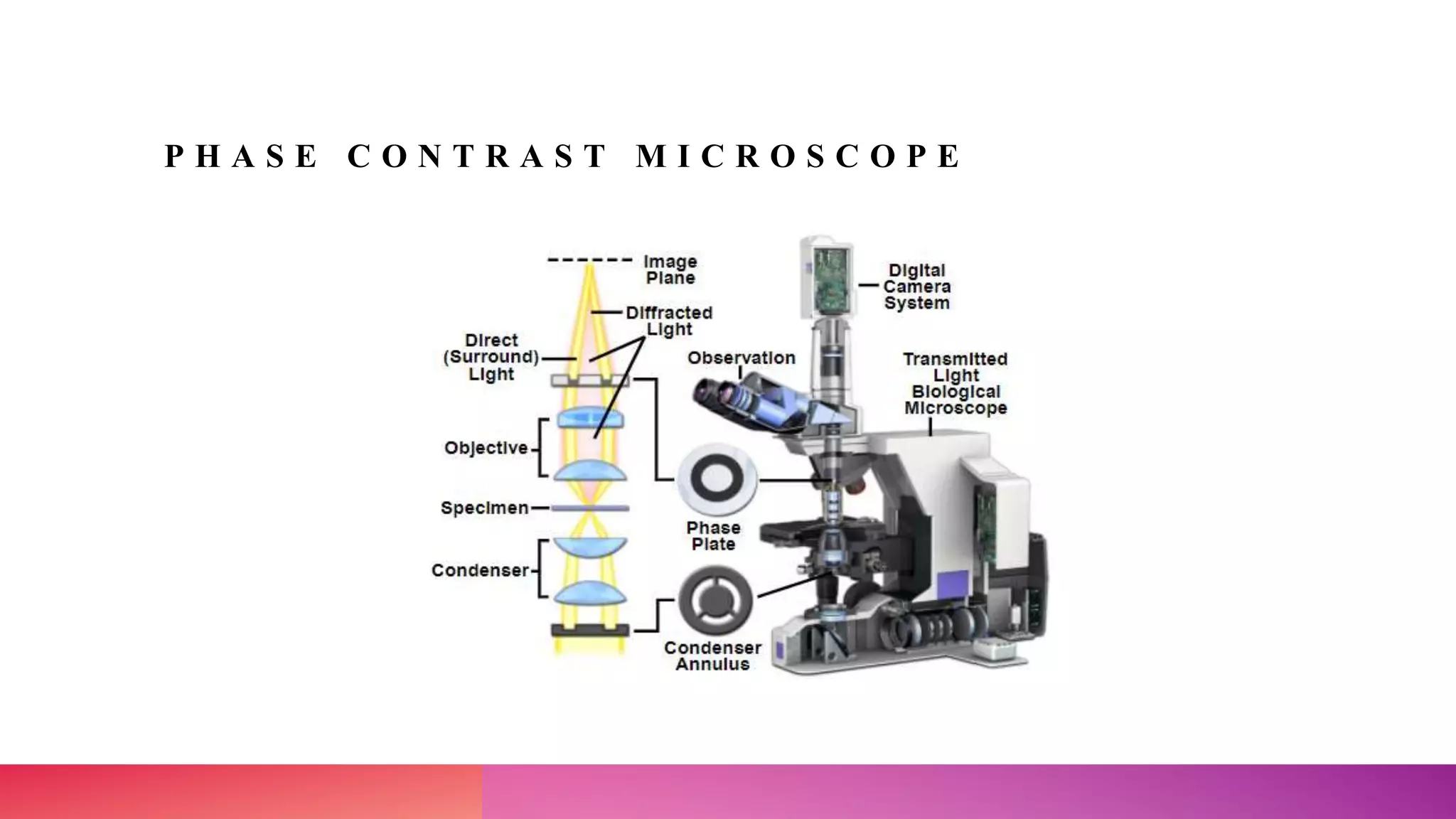 types of Microscopy and its parts and uses | PPTX