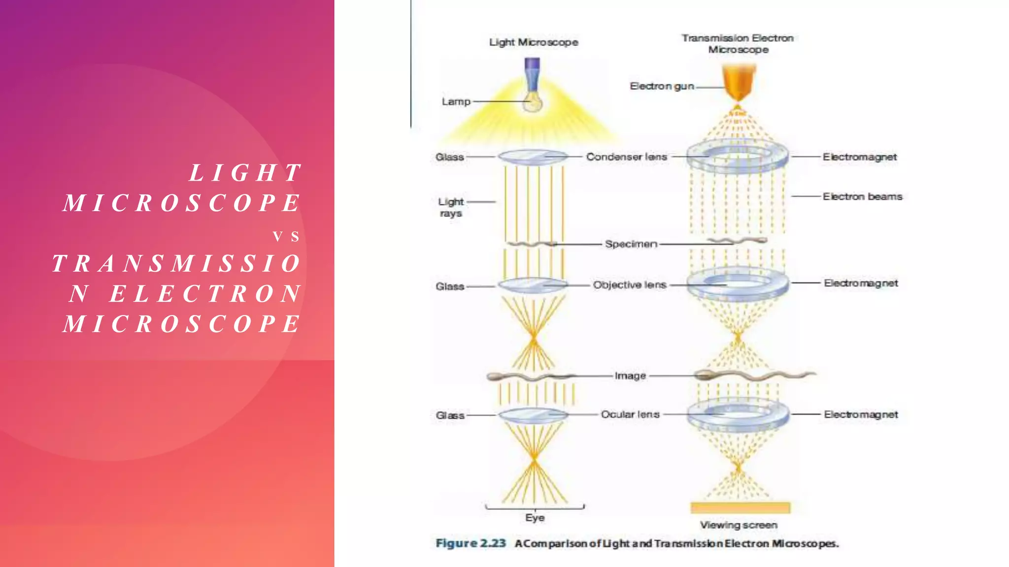 types of Microscopy and its parts and uses | PPTX