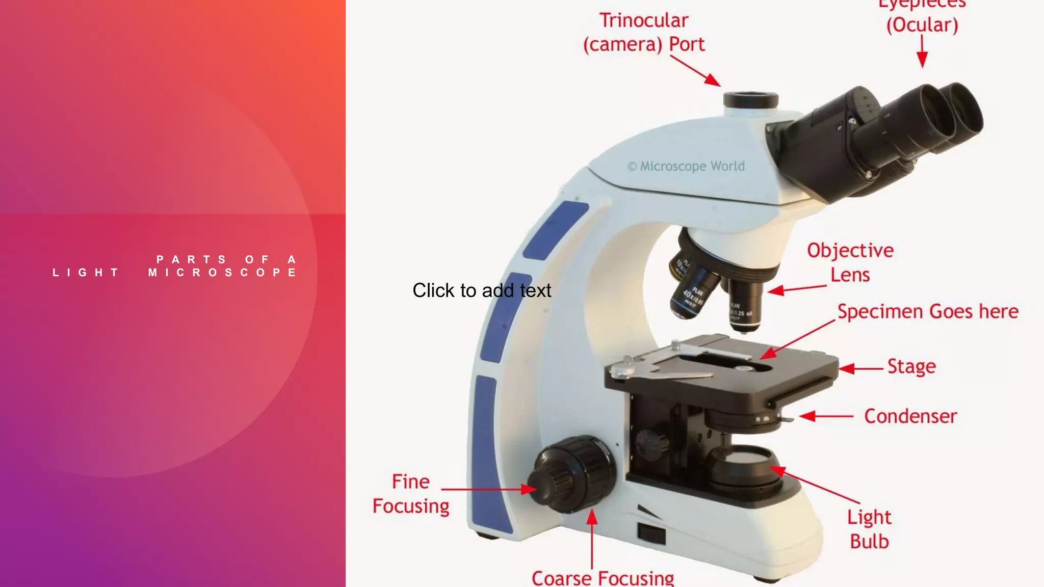 types of Microscopy and its parts and uses | PPTX