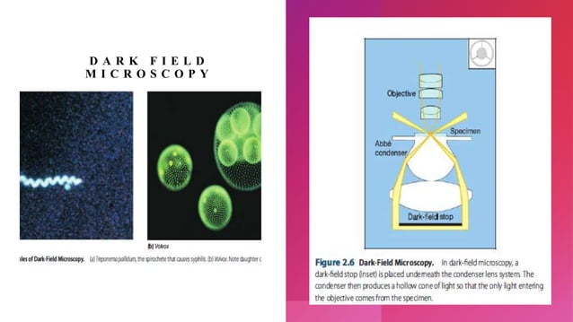 types of Microscopy and its parts and uses | PPT