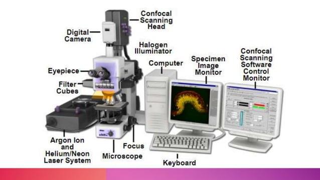 types of Microscopy and its parts and uses | PPT