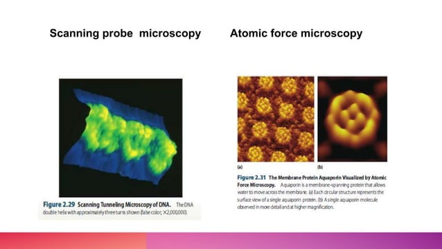 types of Microscopy and its parts and uses | PPT