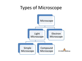 Microscopy | PPTX