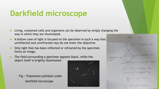 Microscopy | PPT