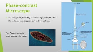 Microscopy | PPT