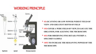 Microscopy | PPTX