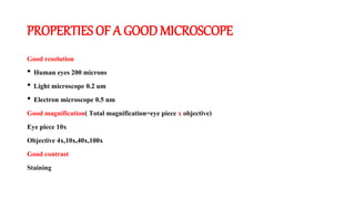 Microscopy | PPT